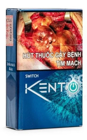 Vietnamese Kent Switch